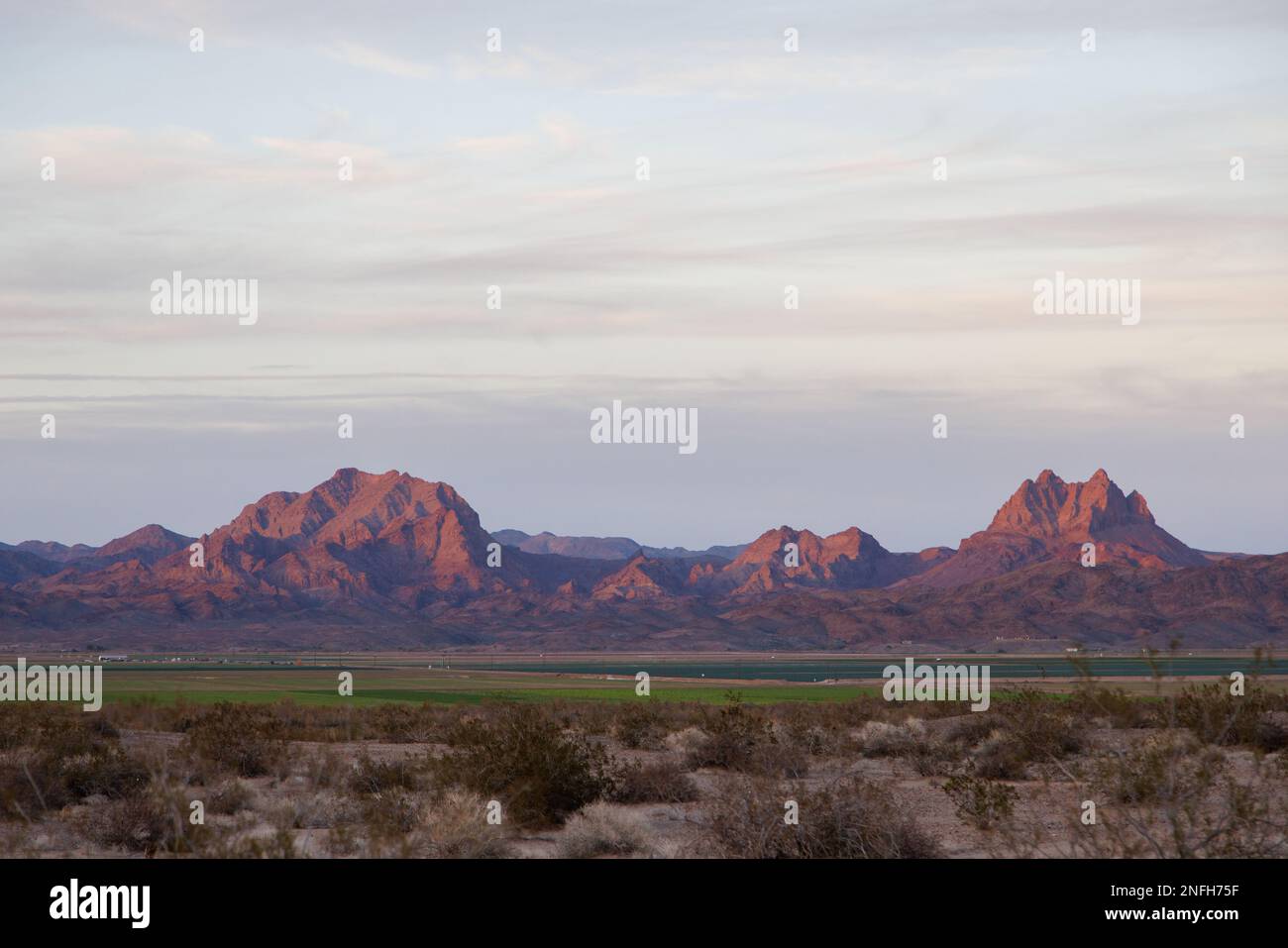 Muggins hi-res stock photography and images - Alamy