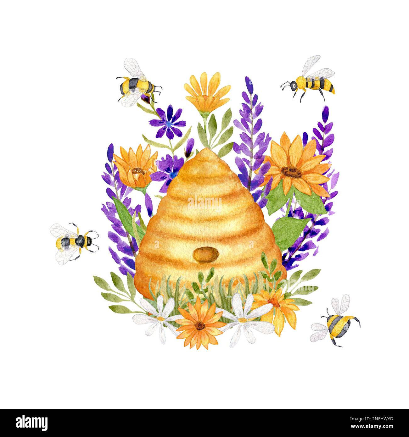 Watercolor illustration with a wild Beehive in Lavender, Chamomile and ...