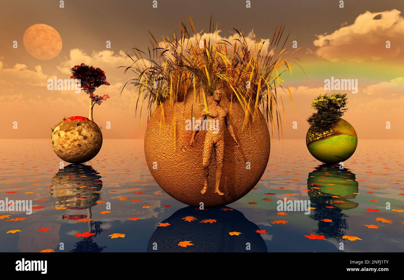 Spherical trees hi-res stock photography and images - Alamy