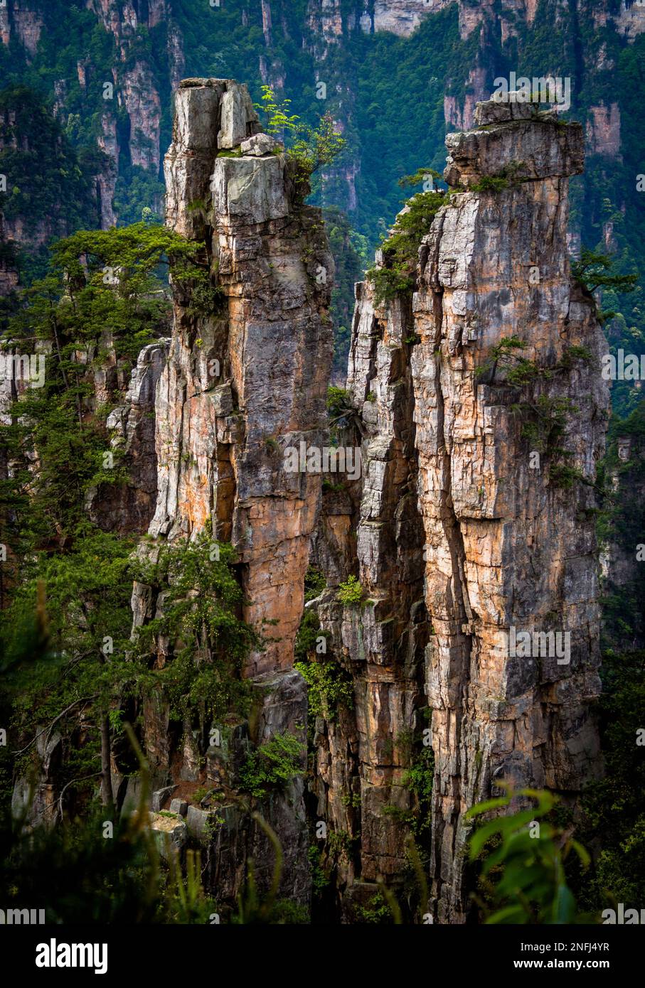 A scenic shot of Zhangjiajie National Forest Park in Zhangjiajie, Hunan ...