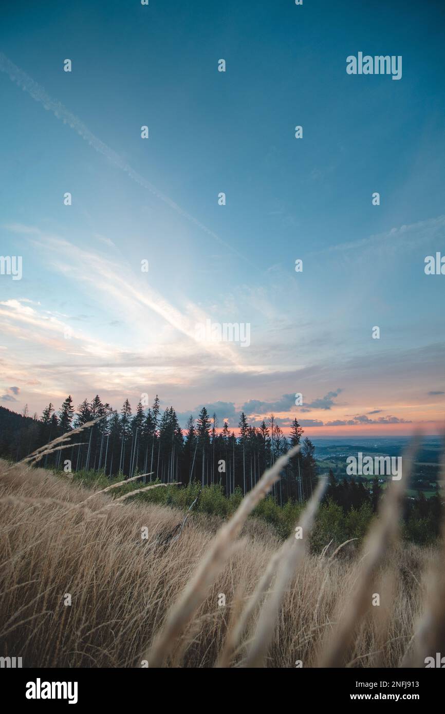 Morning sun illuminates the tall grass and beautiful scenery of eastern ...