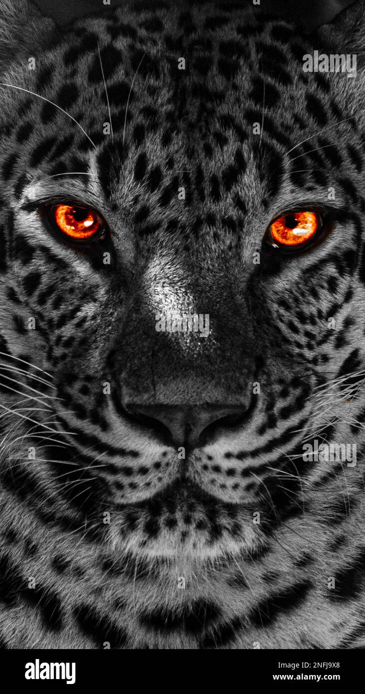 Selective Color Photos Of Tattoos