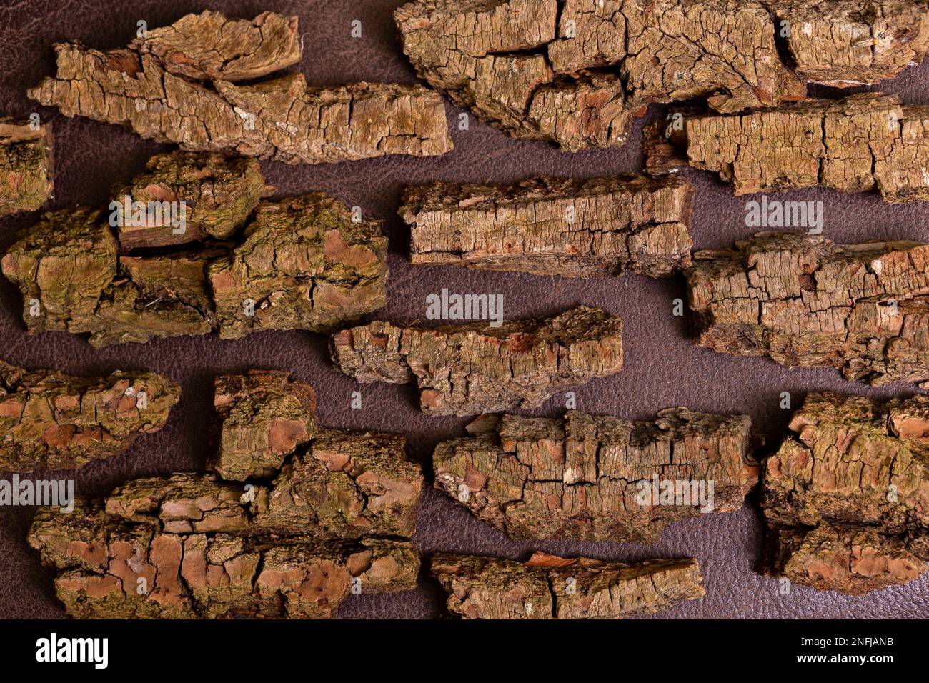 Tree bark natural background wallpaper backdrop. Brown natural pieces ...