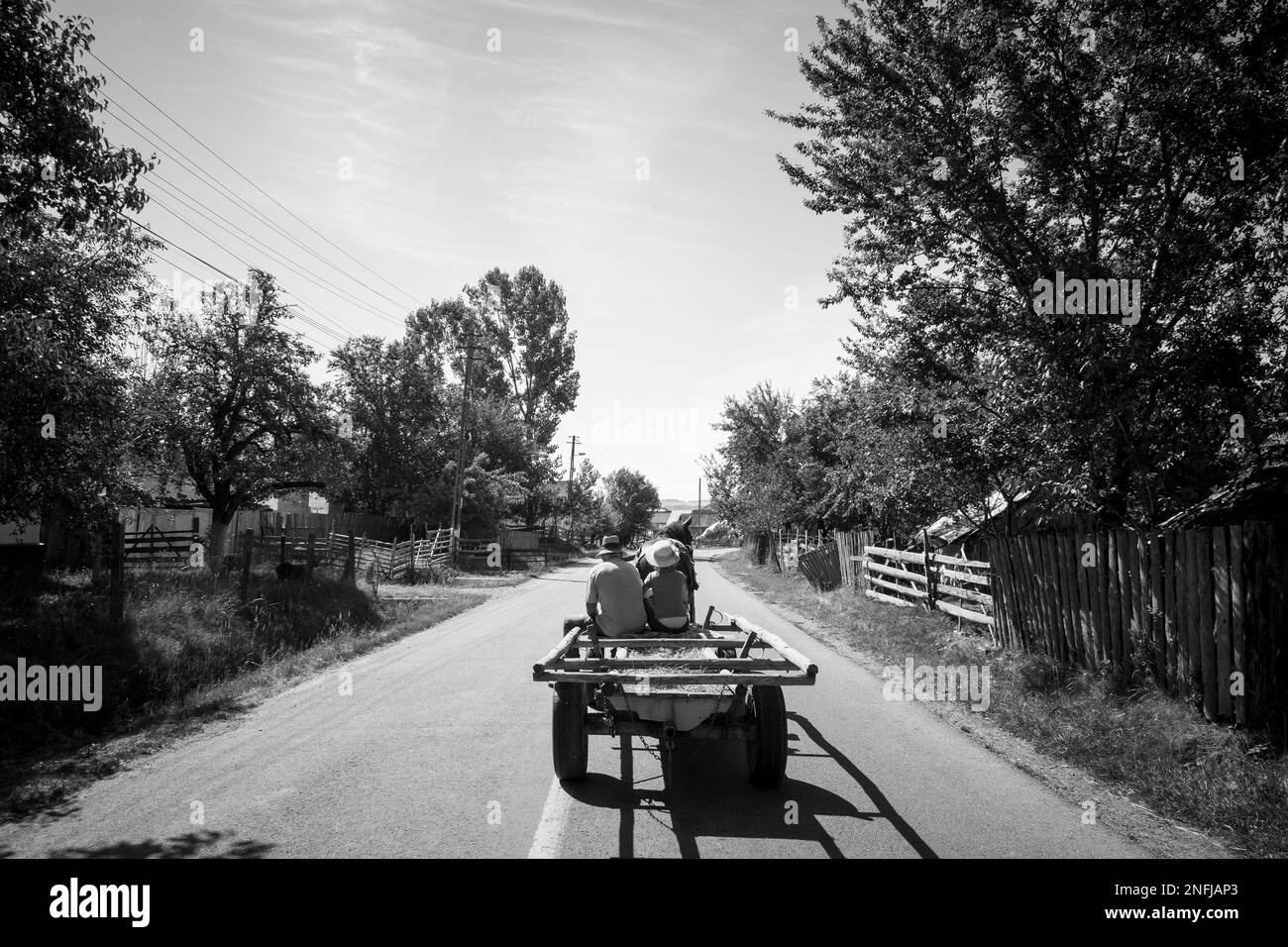 Romania. Transylvania. Dorolea. daily life in the countryside Stock ...