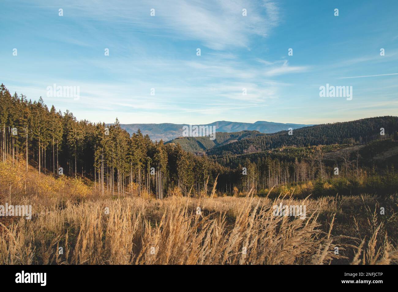 Morning sun illuminates the tall grass and beautiful scenery of eastern ...