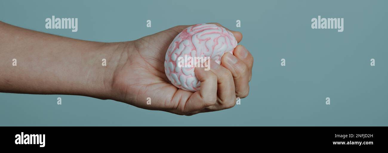 closeup of a man is squeezing a fake brain in his hand, on a gray ...