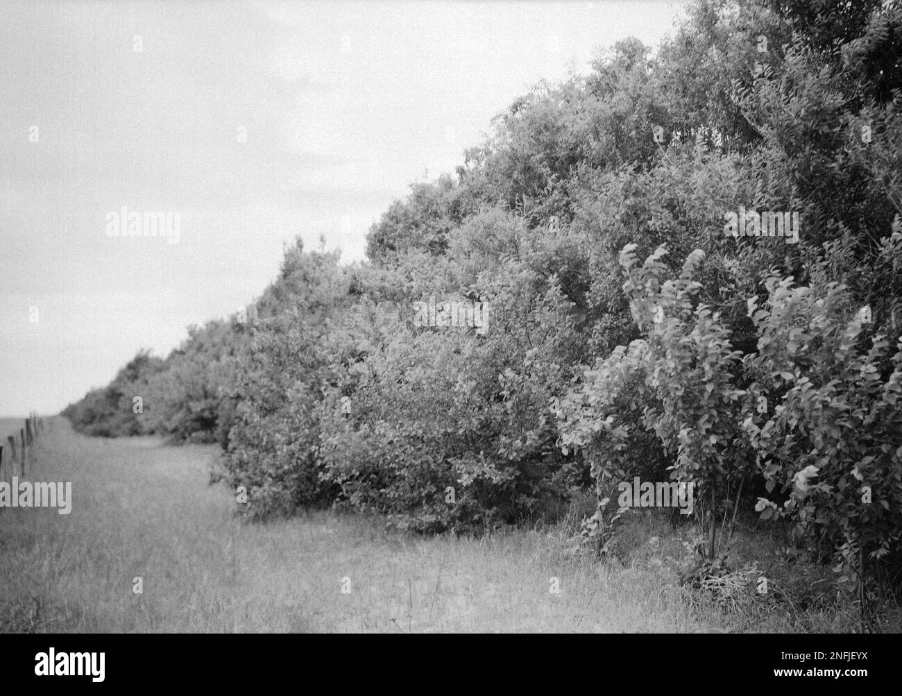 This is a sector of the former dust bowl shown June 9, 1944, in ...