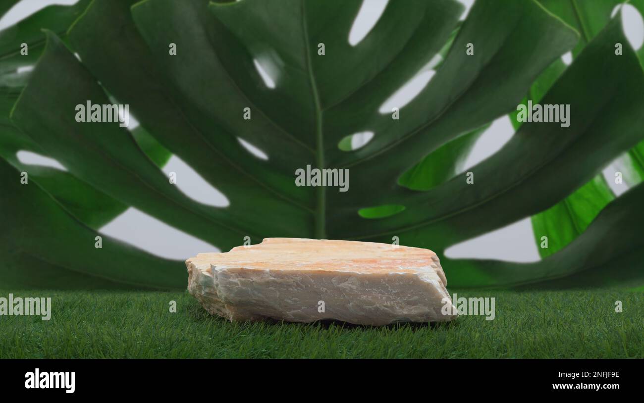 Stone podium table top on green grass monstera tropical plant white ...
