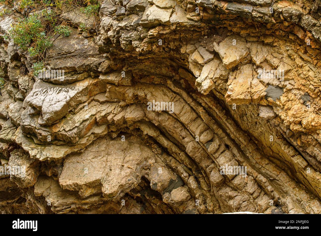This close-up photo of rocks showcases the rugged, natural beauty of ...