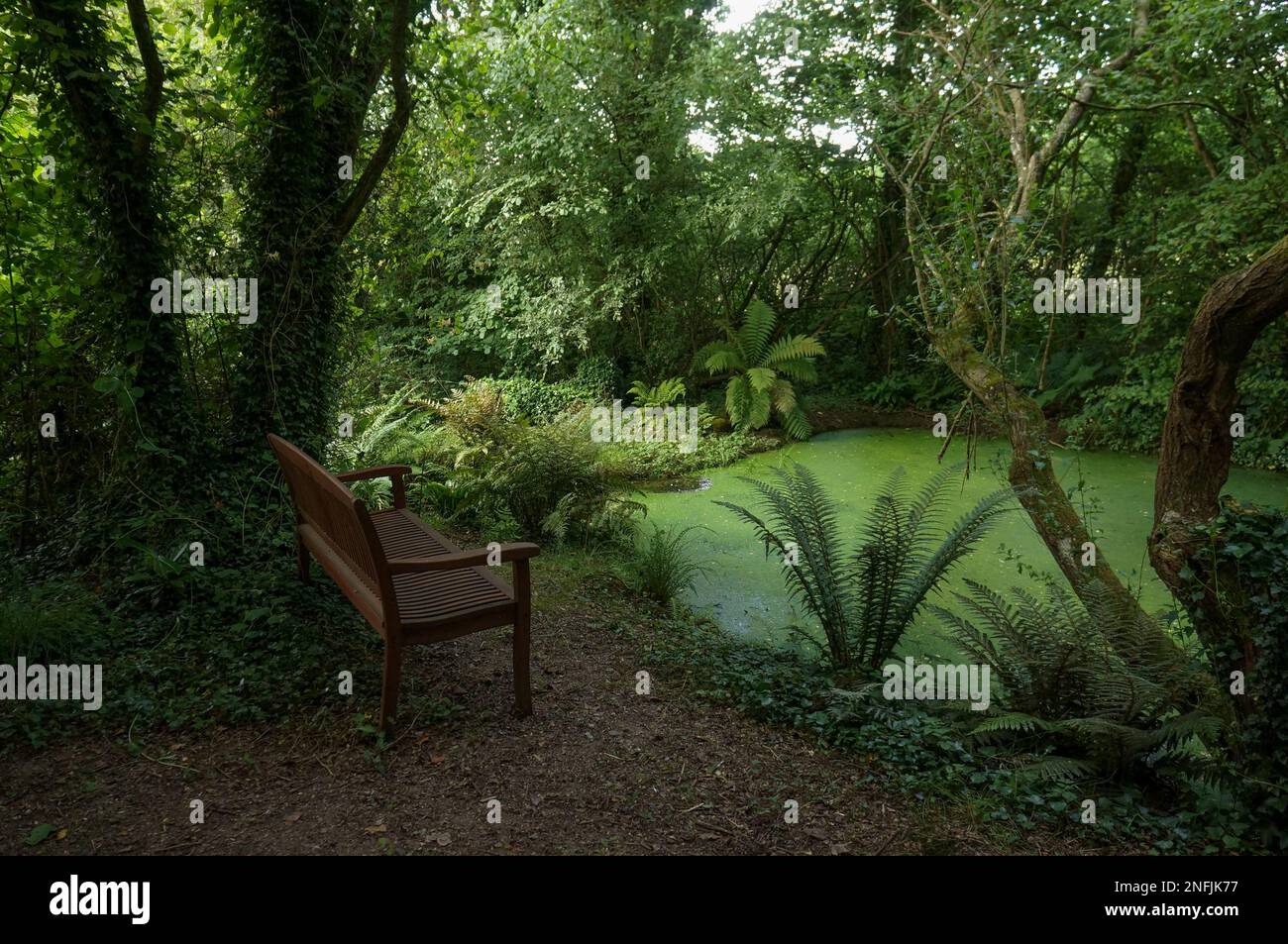 Shady seating hi-res stock photography and images - Alamy