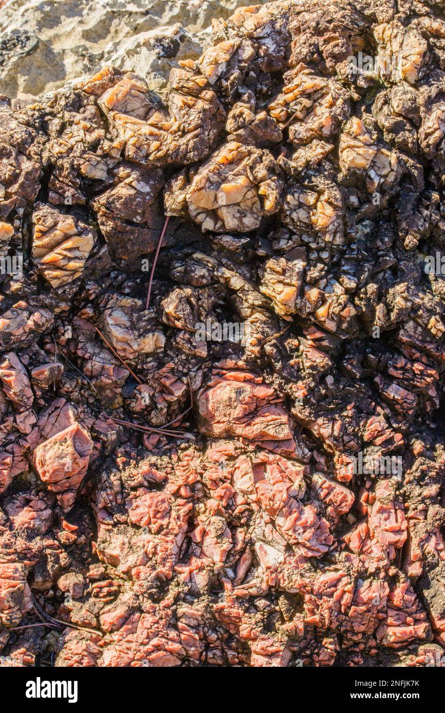This close-up photo of rocks showcases the rugged, natural beauty of ...