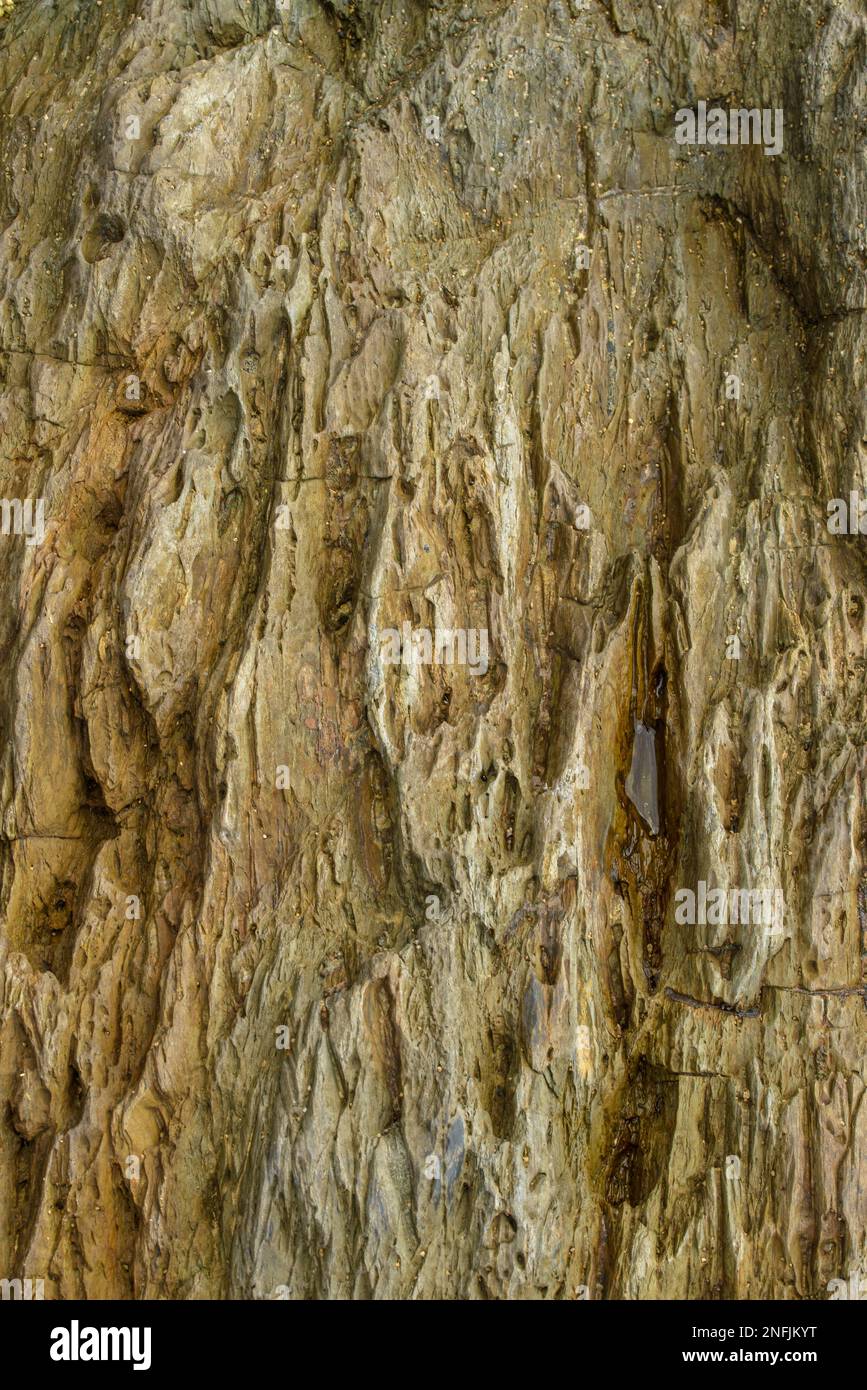 This close-up photo of rocks showcases the rugged, natural beauty of ...