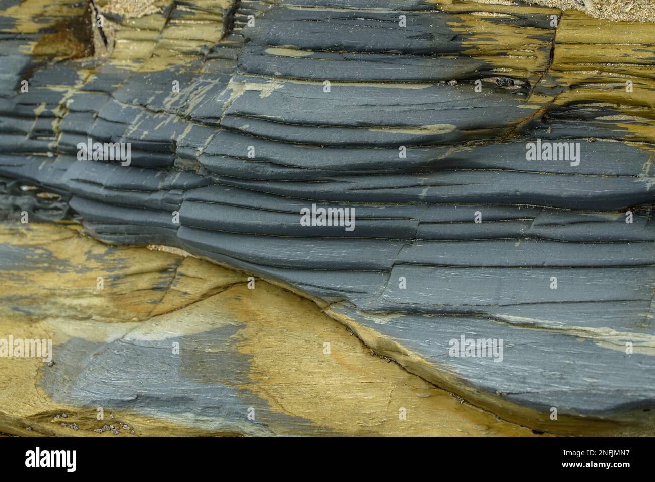 This close-up photo of rocks showcases the rugged, natural beauty of ...