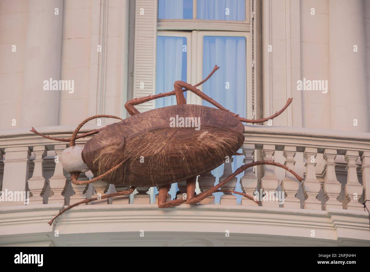Madrid, Spain, 16/02/2023, Six giant cockroaches with the heads of ...