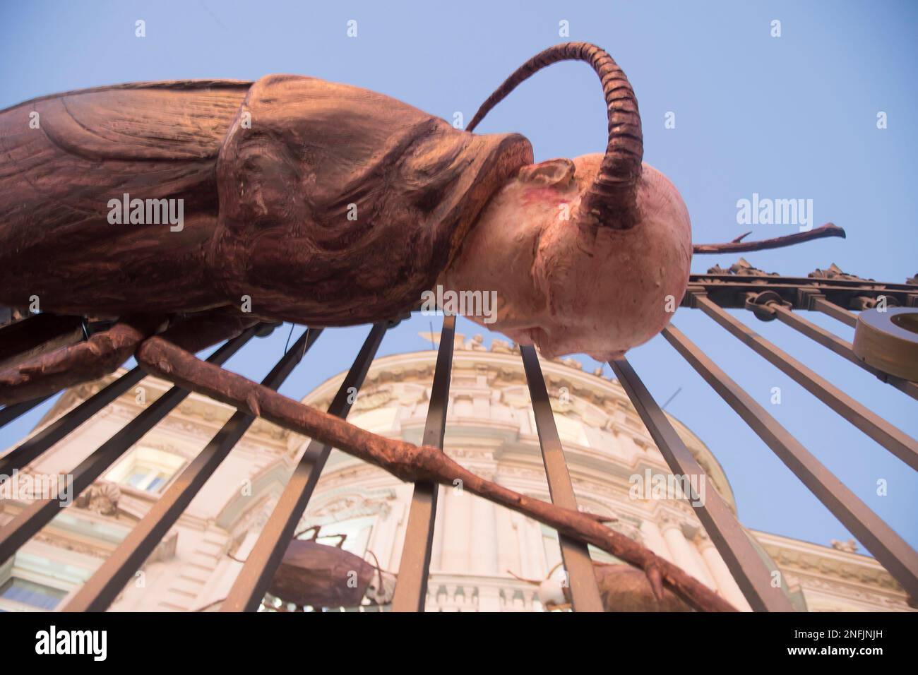 Madrid, Spain, 16/02/2023, Six giant cockroaches with the heads of ...