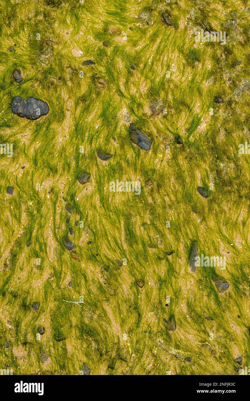 Rhythmic pattern hi-res stock photography and images - Alamy