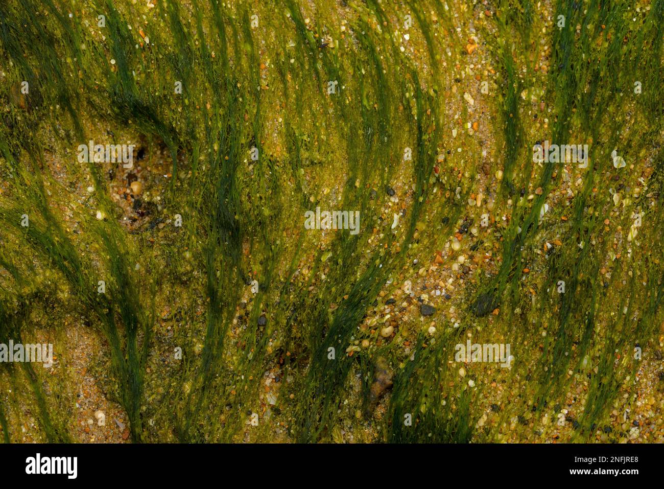 Breathtaking pattern hi-res stock photography and images - Alamy