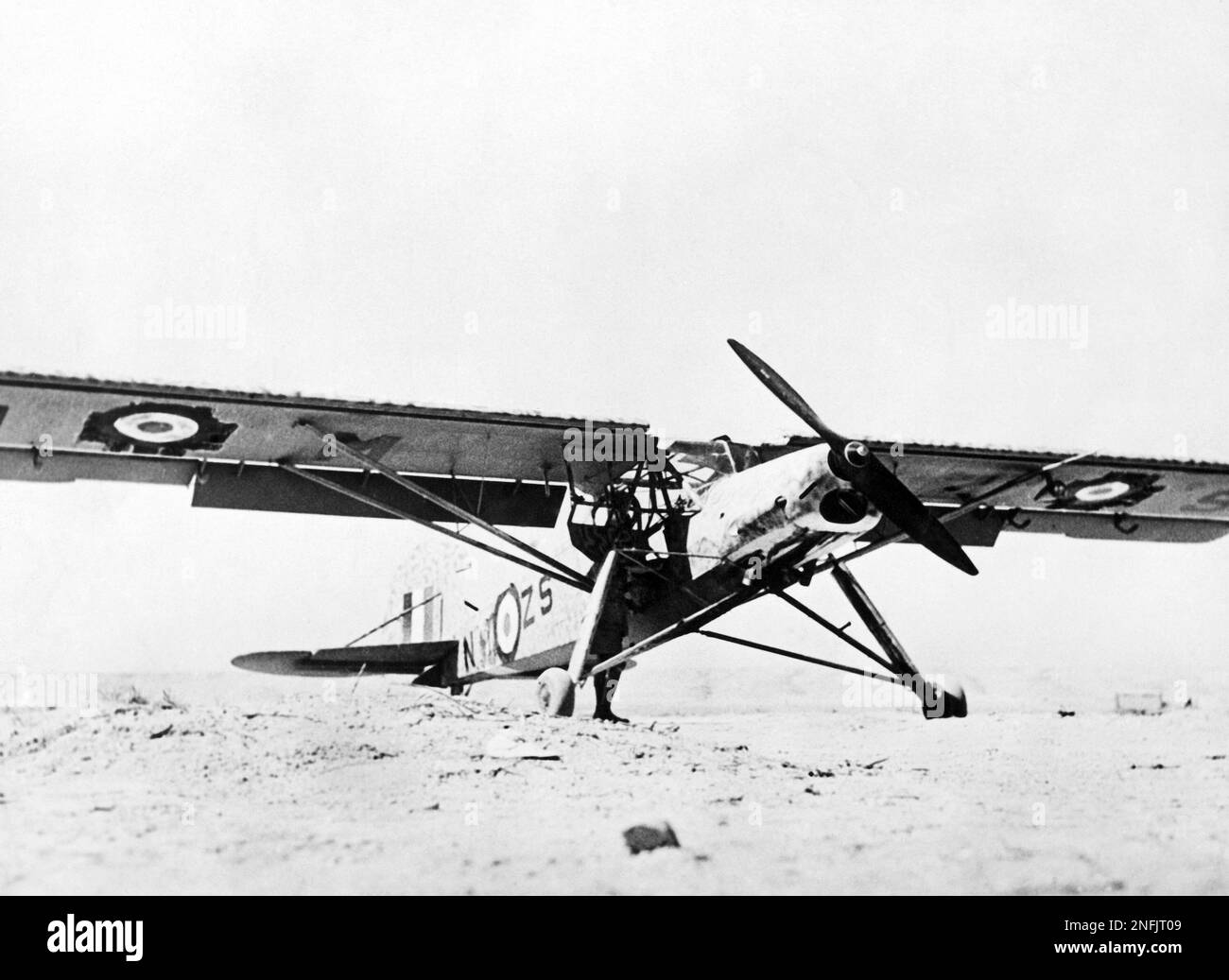 Captured German Monoplane flown by R.A.F. over Egyptian battle zone on ...