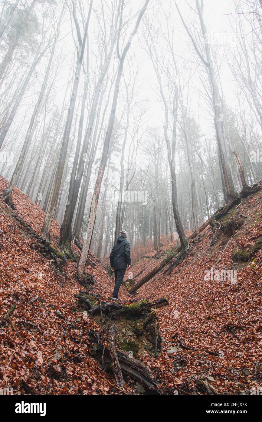 Adventurer discovers the ravine's beauty in the morning mist and the ...