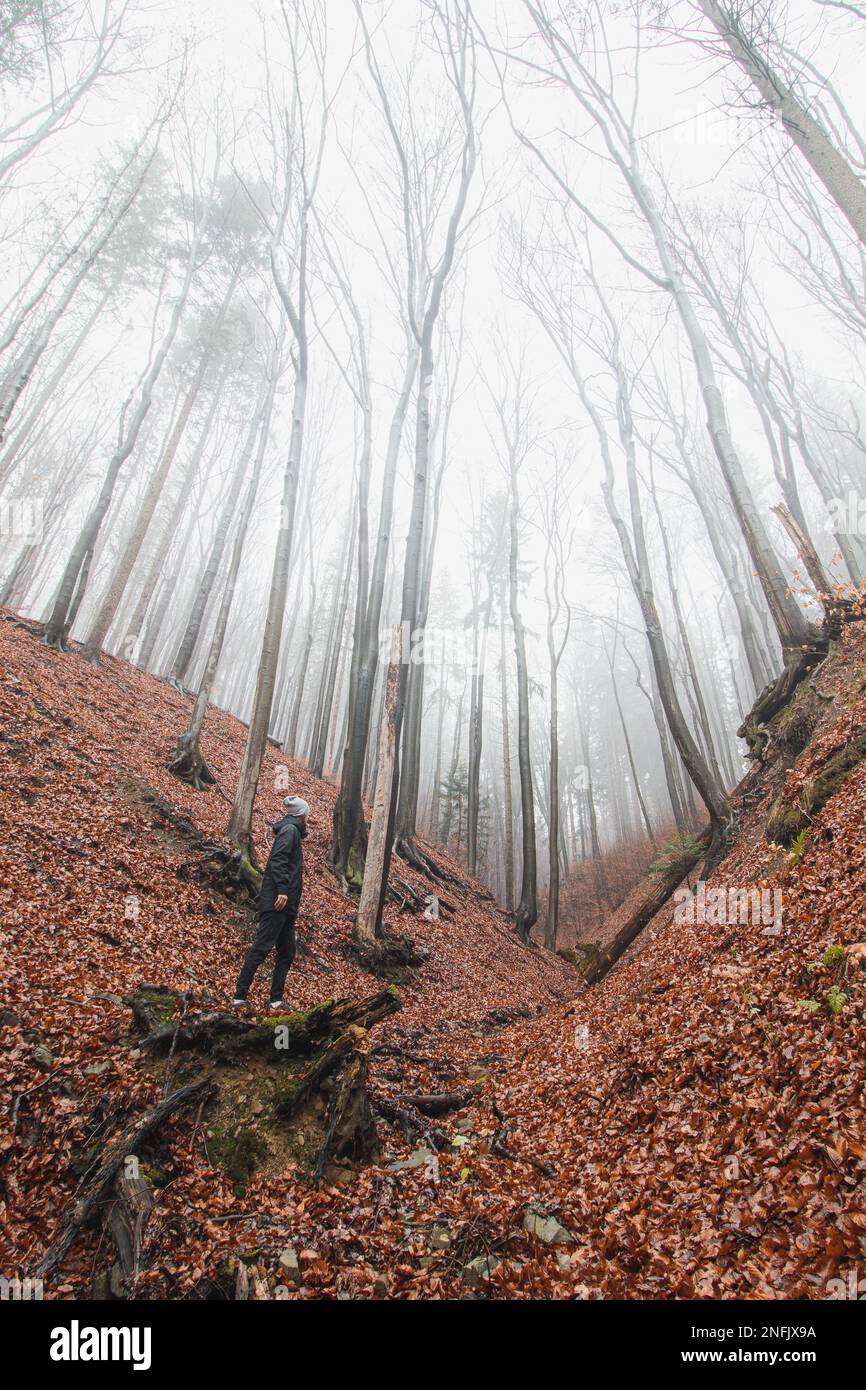 Adventurous male discovering the beauty of the gorge in the morning ...