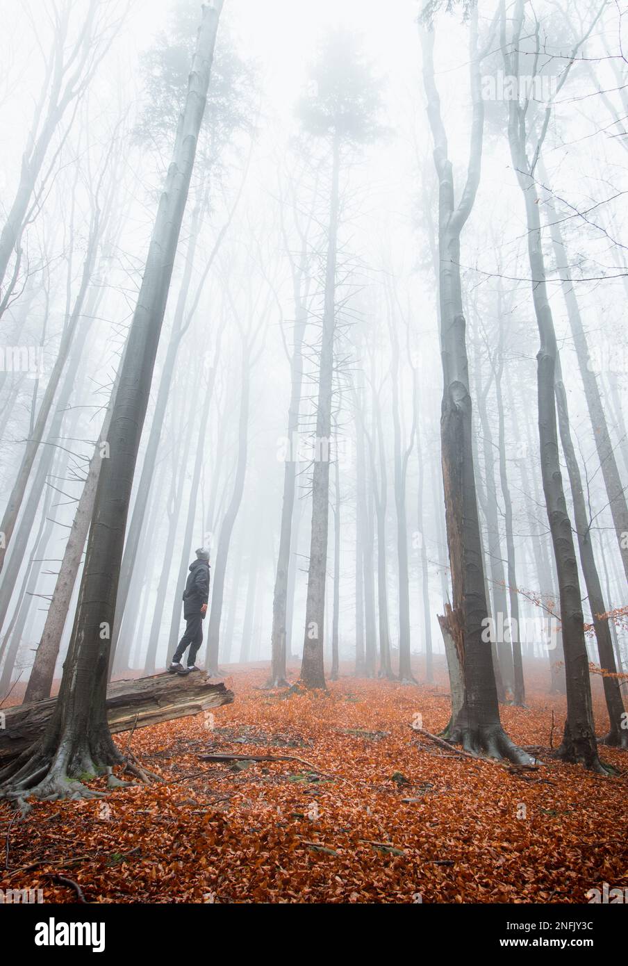 Mou pain hi-res stock photography and images - Alamy