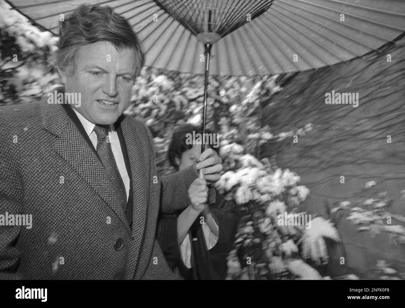 U.S. Senator Edward Kennedy shares a Japanese traditional paper-made ...