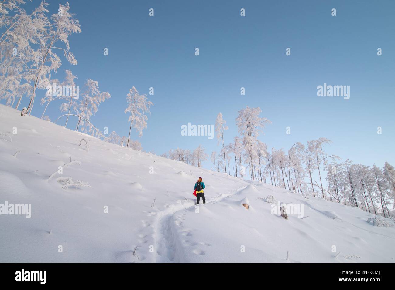 Climbing a mountain with a friend in the deep snow at sunrise. A young ...