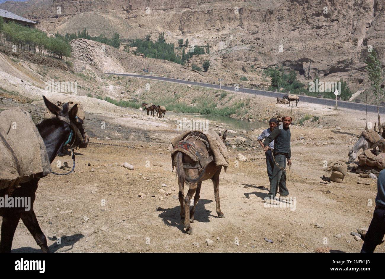 A caravan of cattle growers, from the arid Varamin area south of Tehran ...