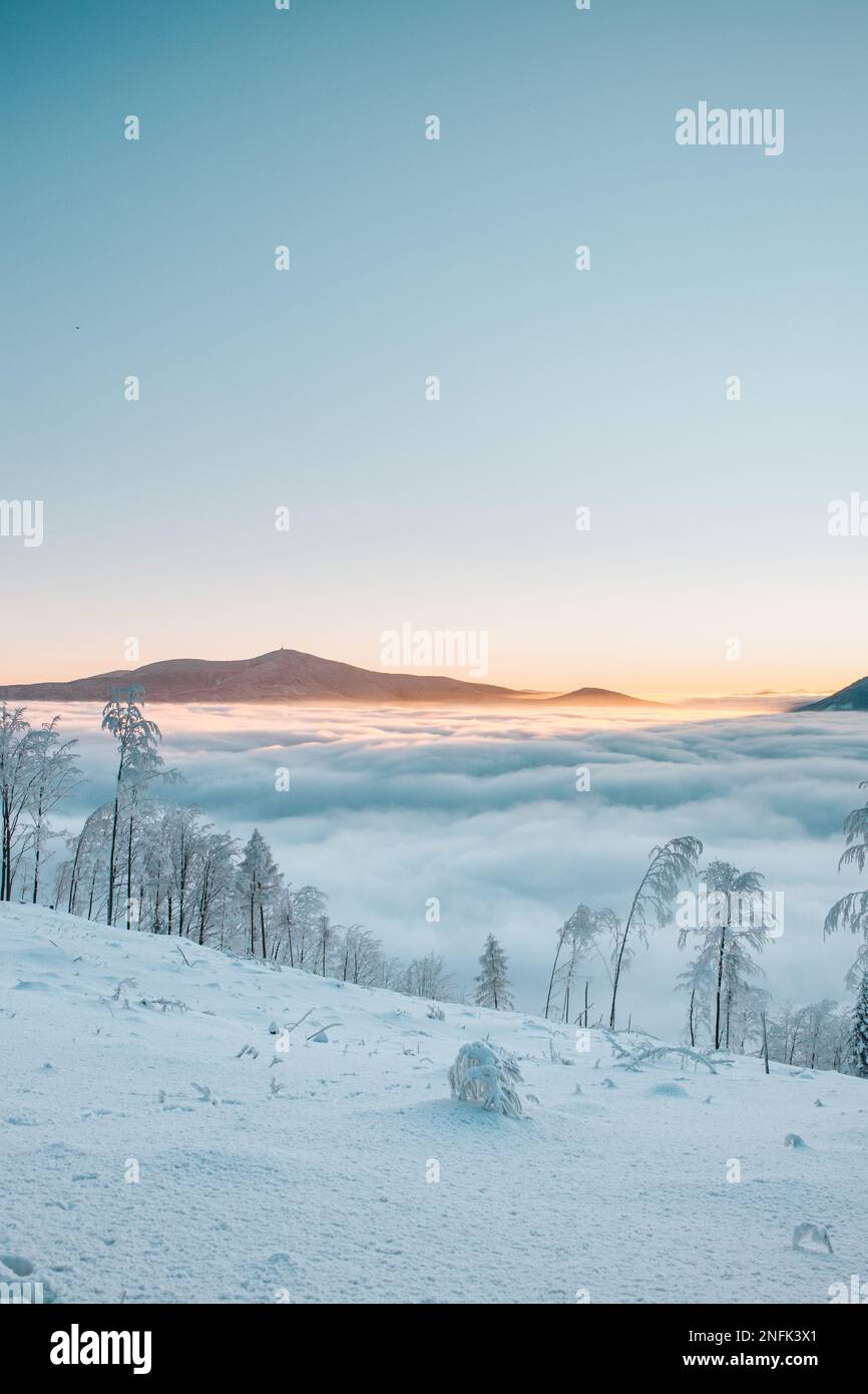 View of sea of clouds colored in the soft orange-pink hue of the ...