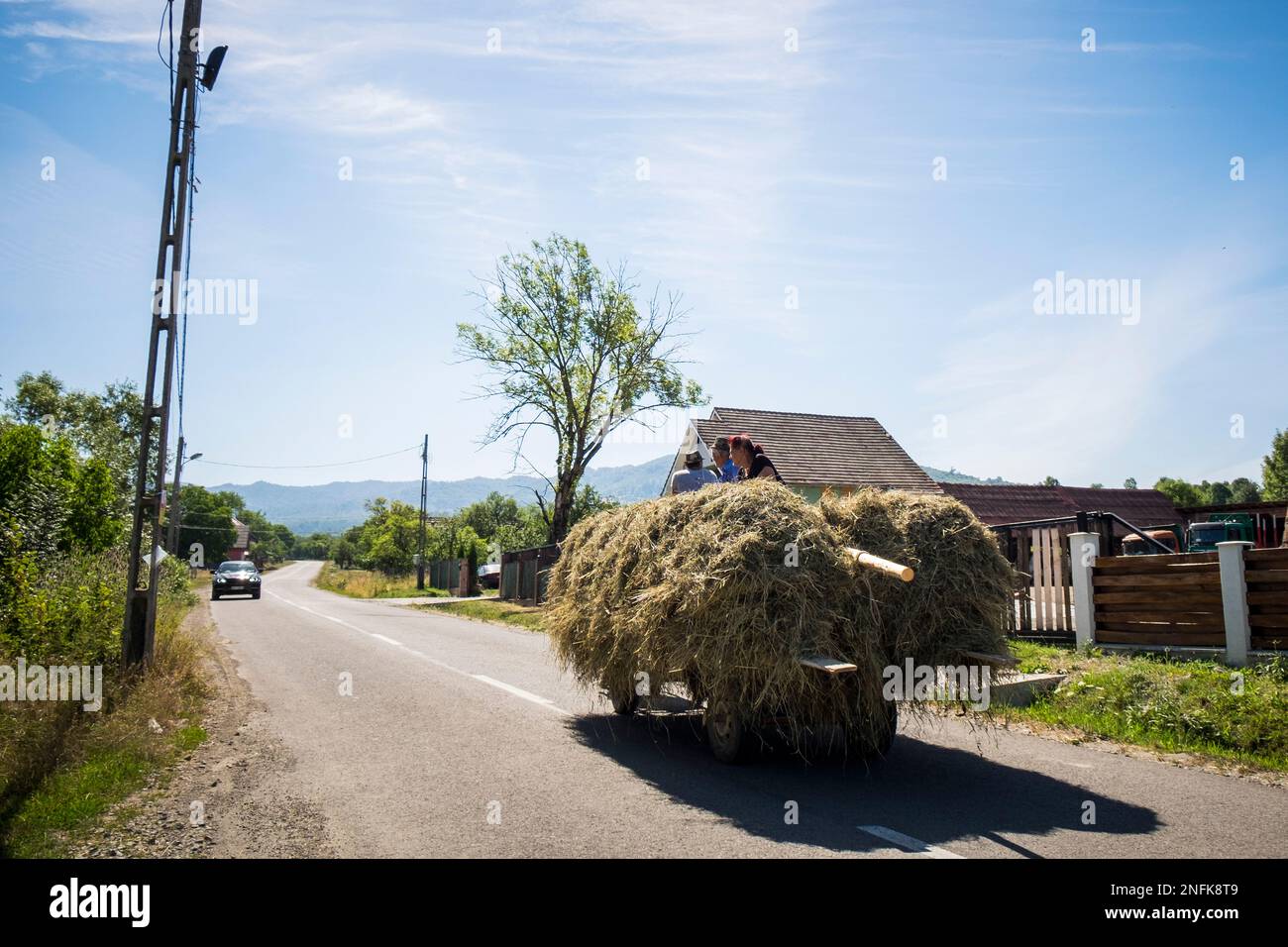 Romania. Transylvania. Dorolea. daily life in the countryside Stock ...