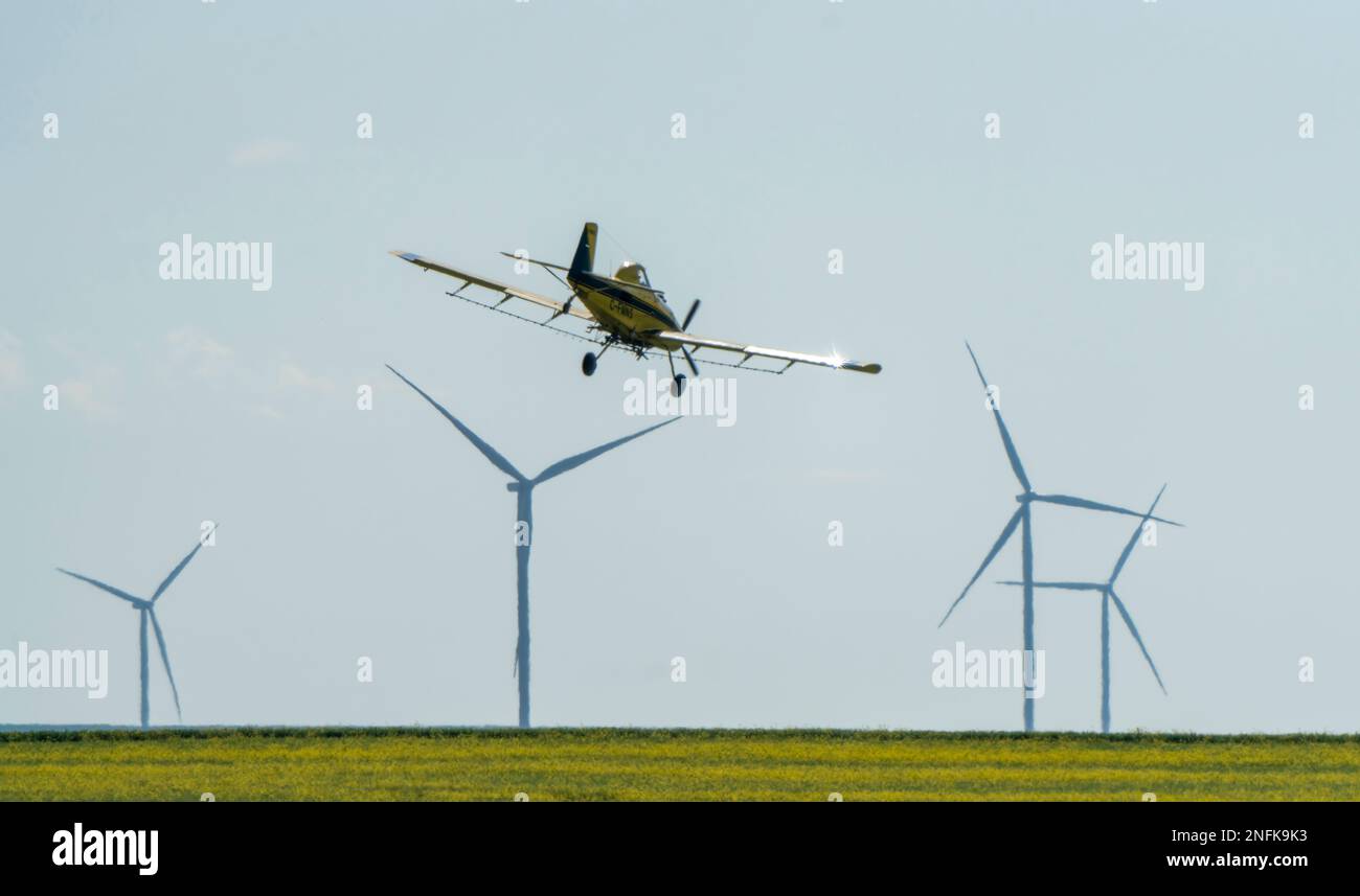 Prairie Crop Duster near Wind Farm Saskatchewan Stock Photo - Alamy