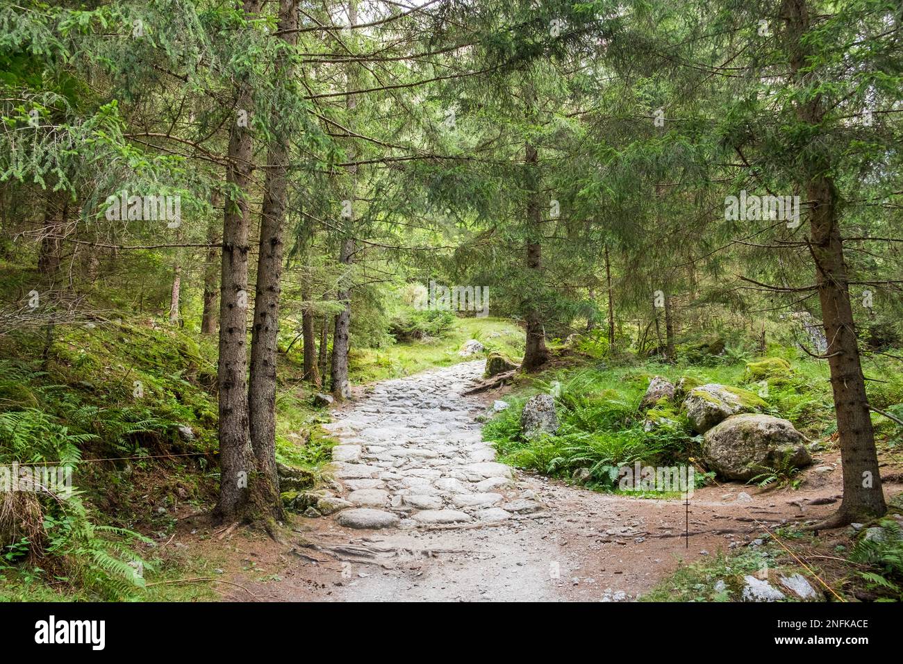 Valley pathway hi-res stock photography and images - Alamy