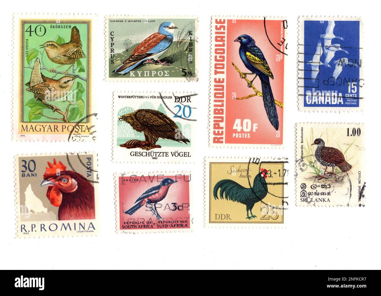 Stamps Collection Birds at Bambi Foust blog