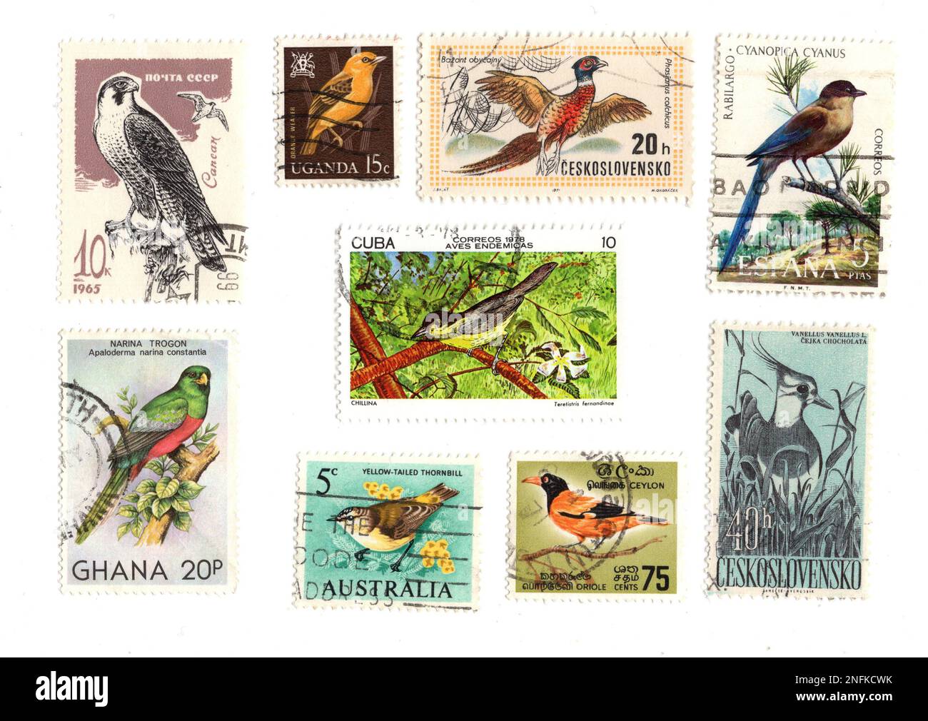 Stamps Collection Birds at Bambi Foust blog