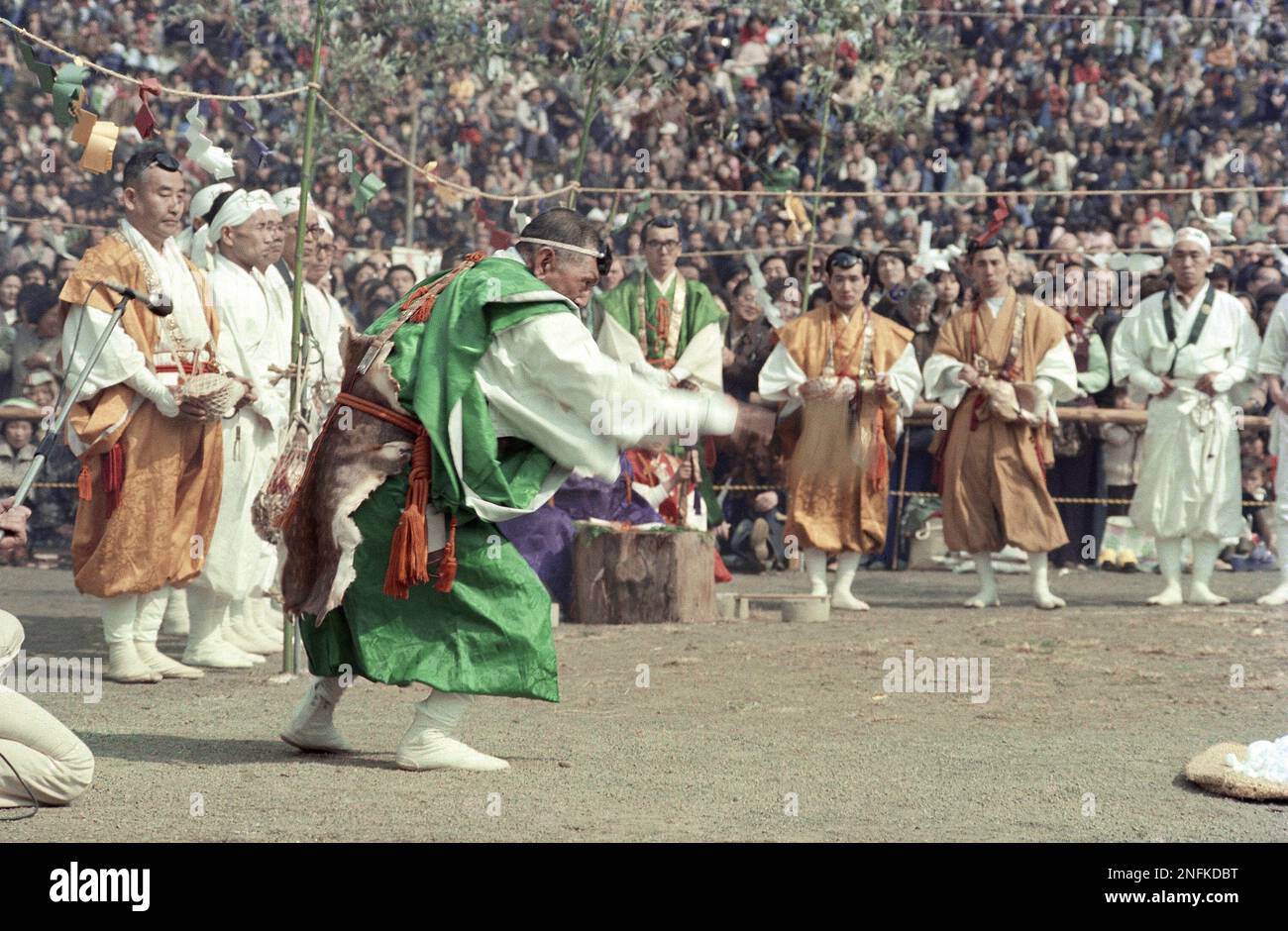 A priest swings an axe at the pyre of cedars prior to their lighting as ...