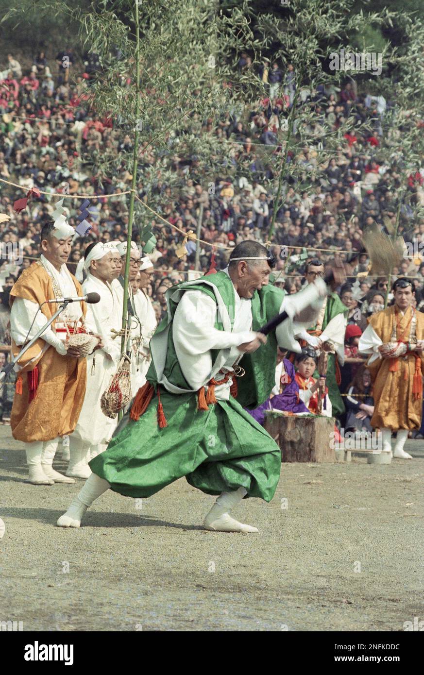 A priest swings an axe at the pyre of cedars prior to their lighting as ...