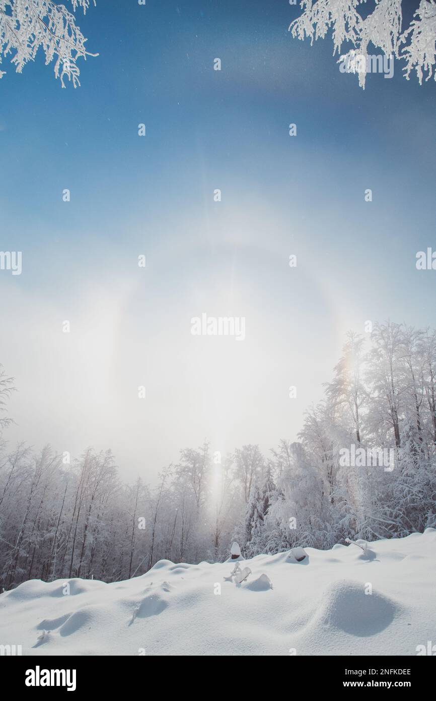 Rare natural phenomenon called the halo effect when the morning sun ...