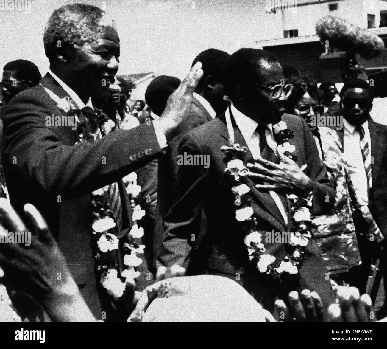 Elected deputy President of the African National Congress Nelson ...