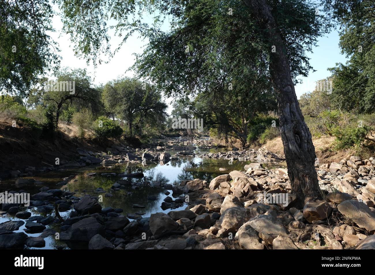 Landscape in Botswana Stock Photo - Alamy