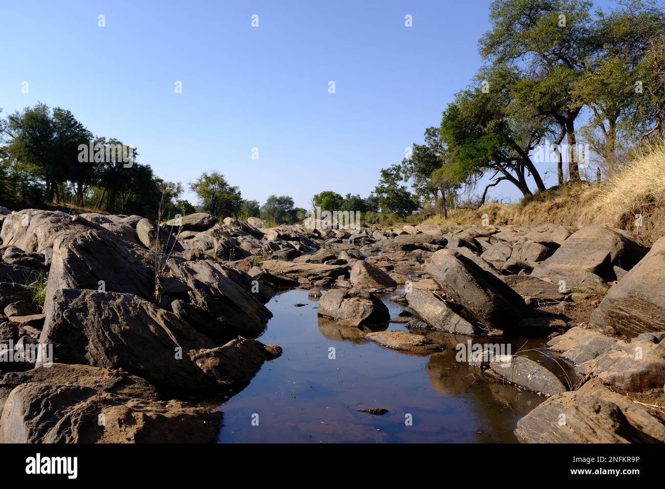 Landscape in Botswana Stock Photo - Alamy