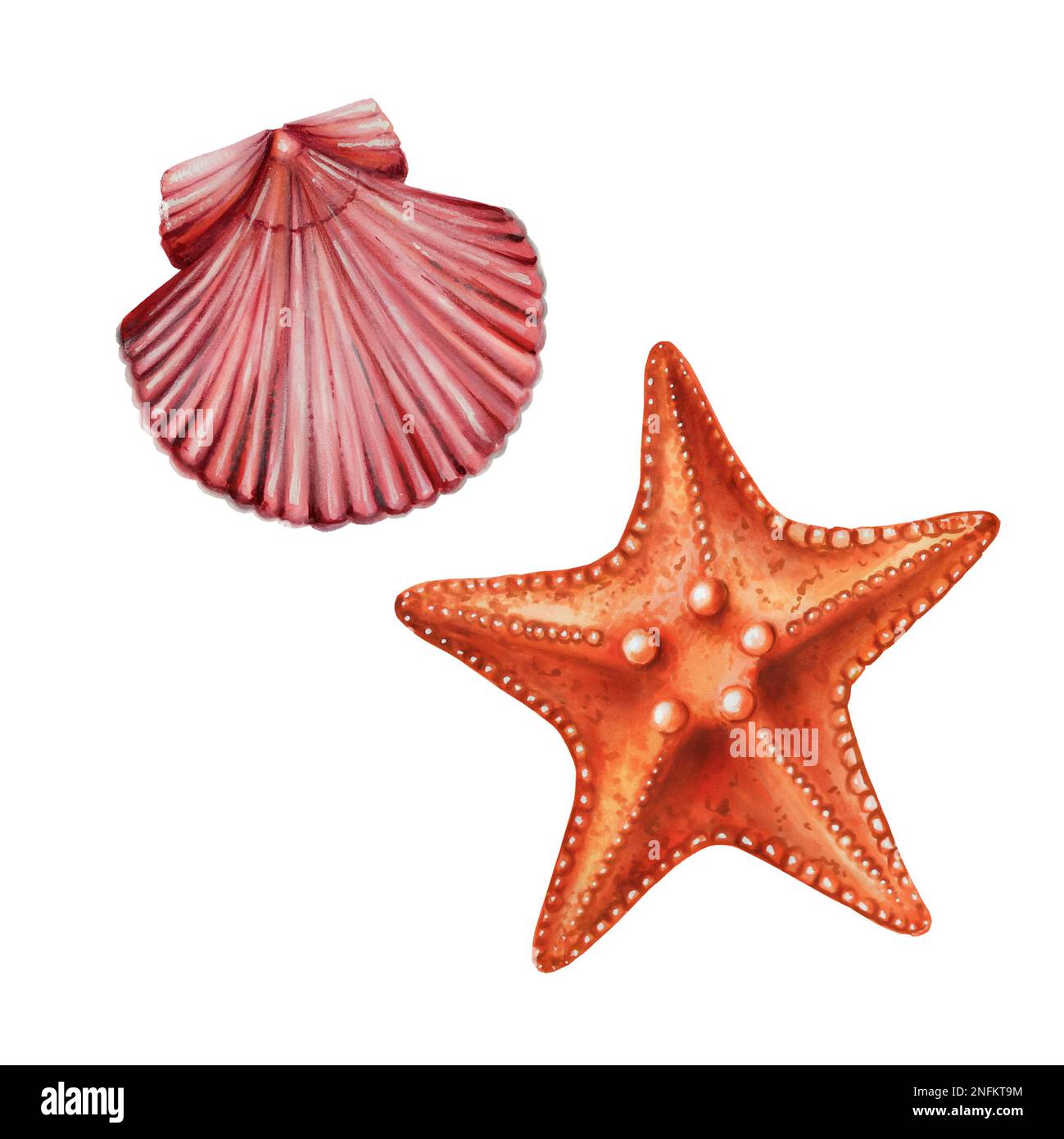 Watercolor starfish with shiny shell. Hand painting clipart underwater ...