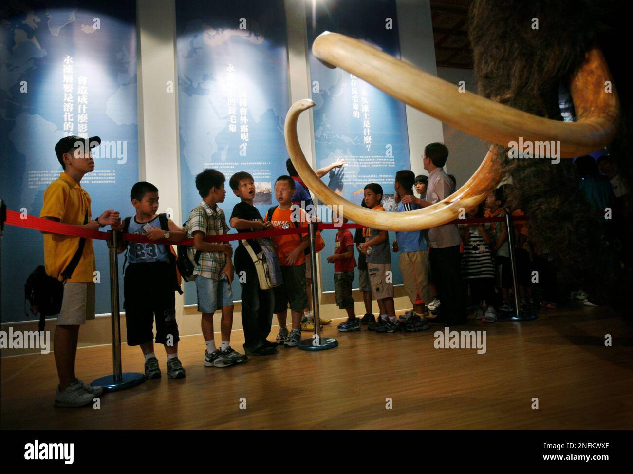 Children gaze at the woolly mammoth model at a display opening at the ...
