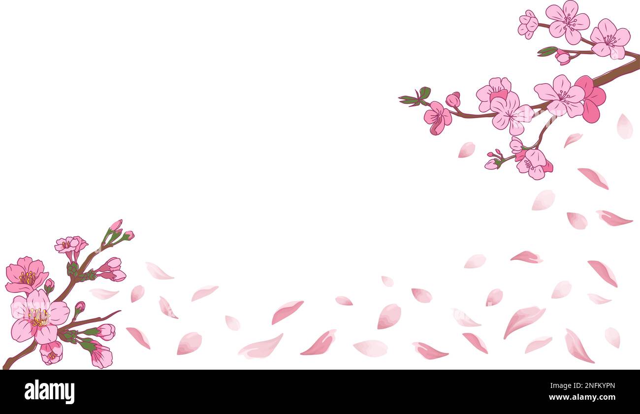Spring background Sakura Cherry blossom vector art Stock Vector Image ... Spring background Sakura Cherry blossom vector art Stock Vector Image ...