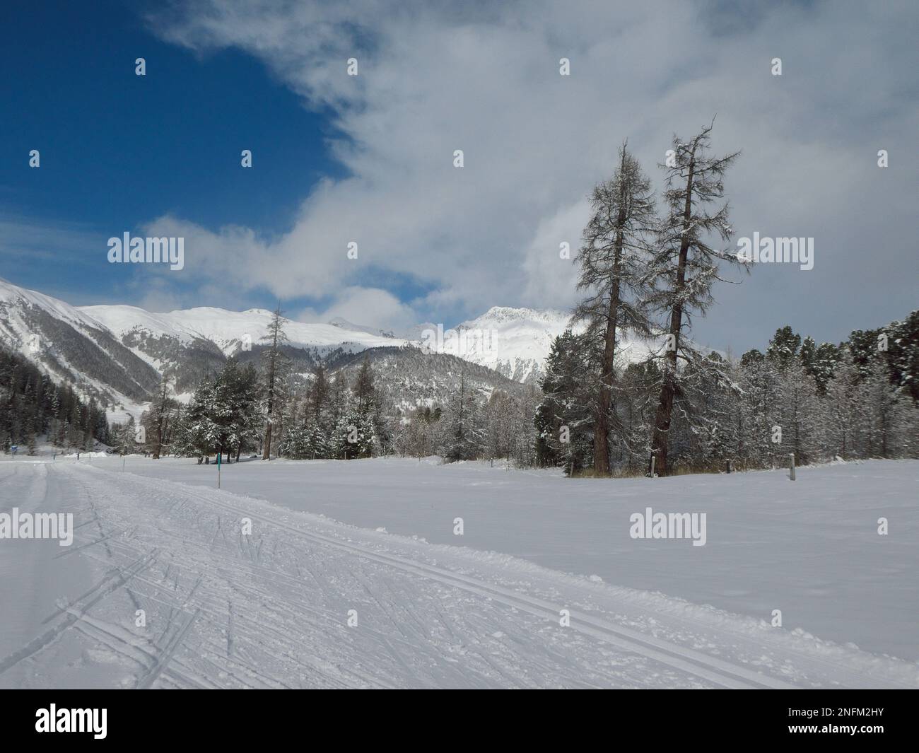 Beautiful loipe of cross-country skiing in Engadin Stock Photo - Alamy