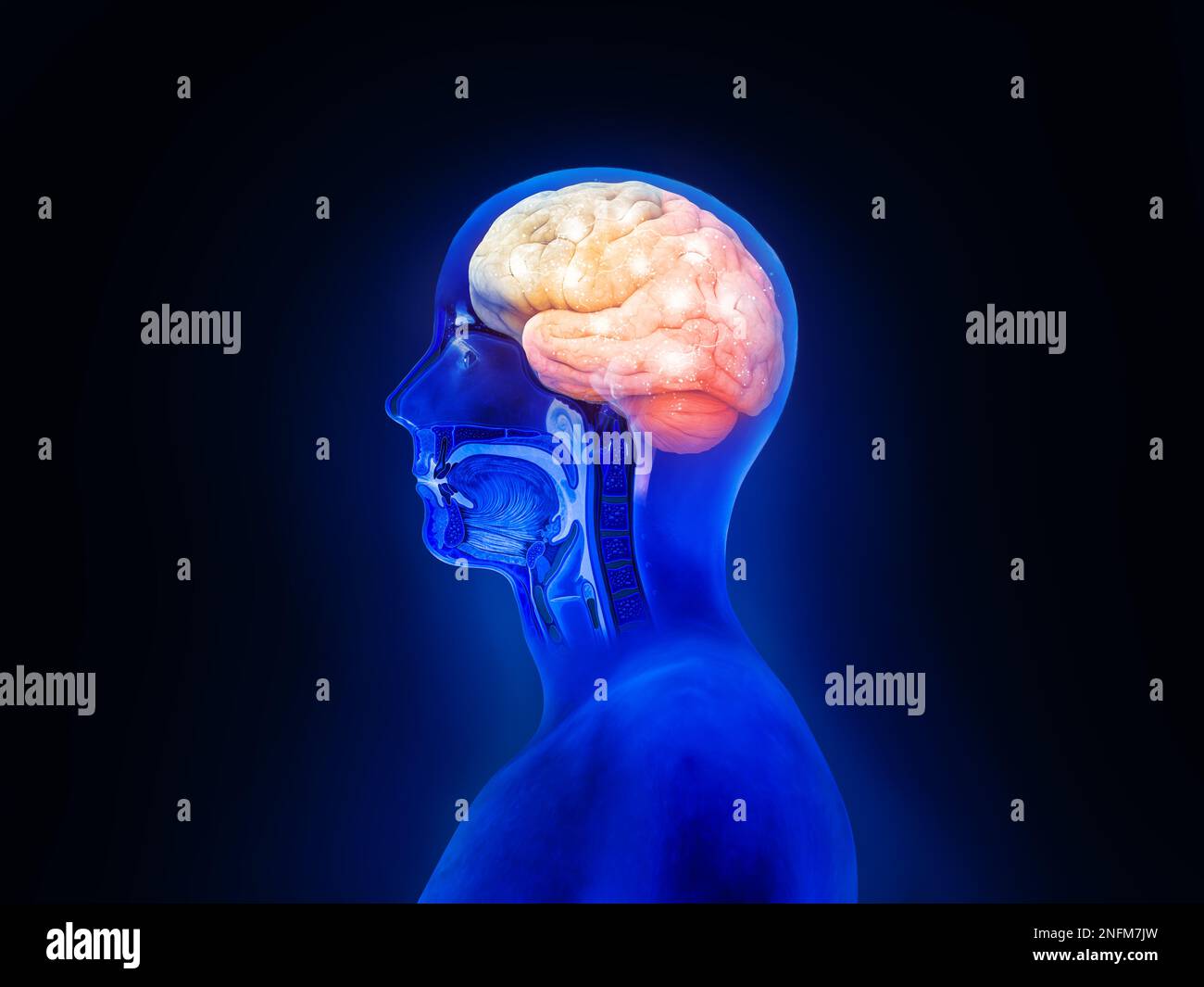Human head with a luminous brain network, consciousness, artificial ...