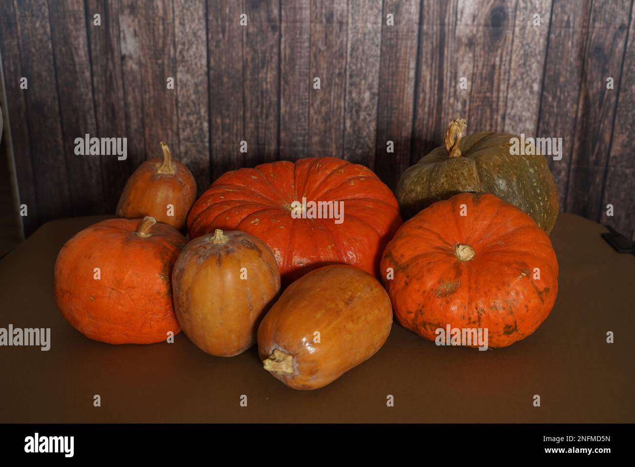 Pumpkin Stalks on display for sale at supermarket Stock Photo - Alamy