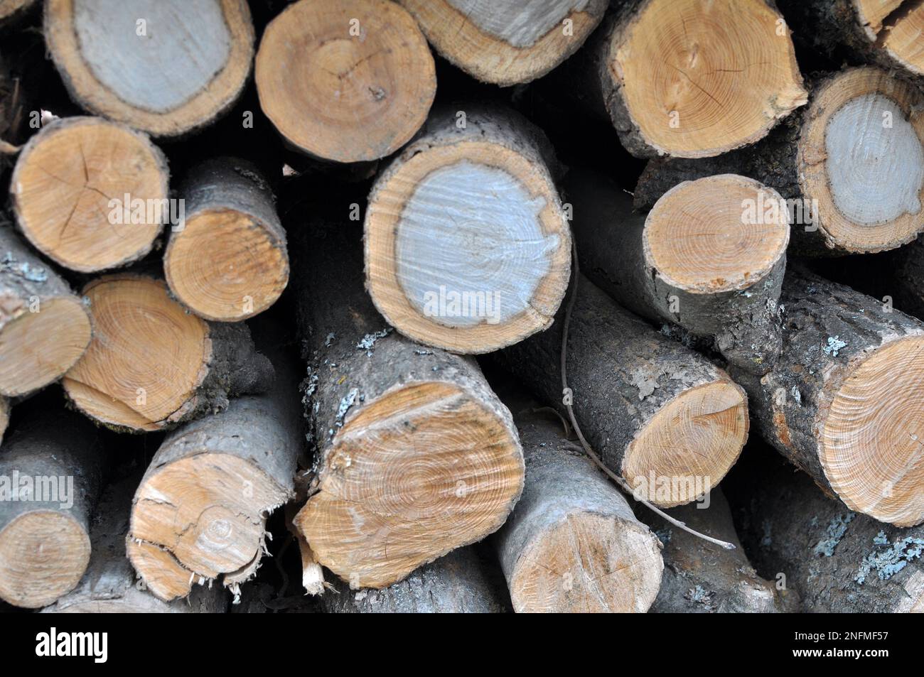 Firewood furniture hi-res stock photography and images - Alamy