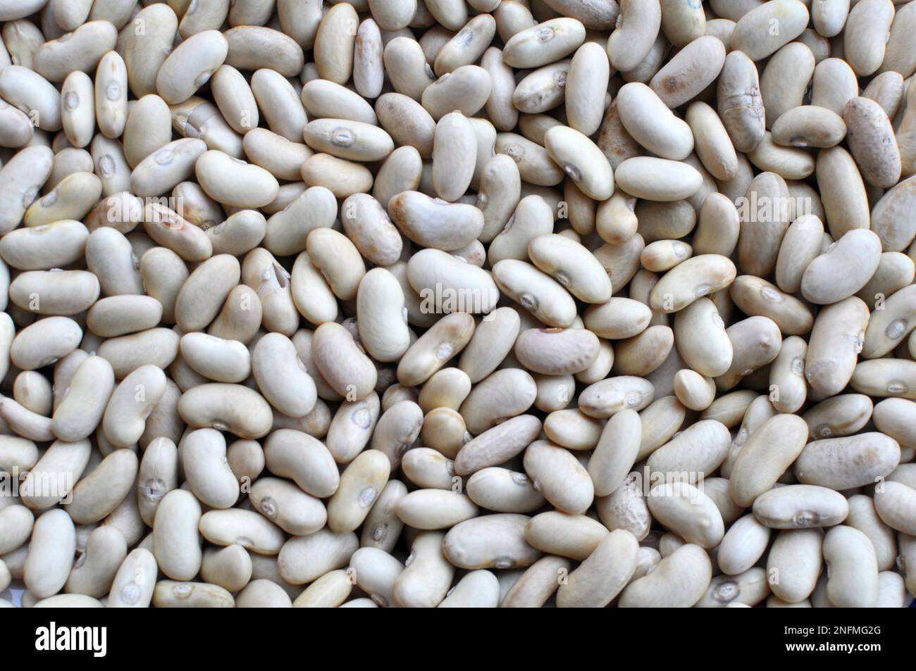 Background from a crop of dry beans Stock Photo - Alamy