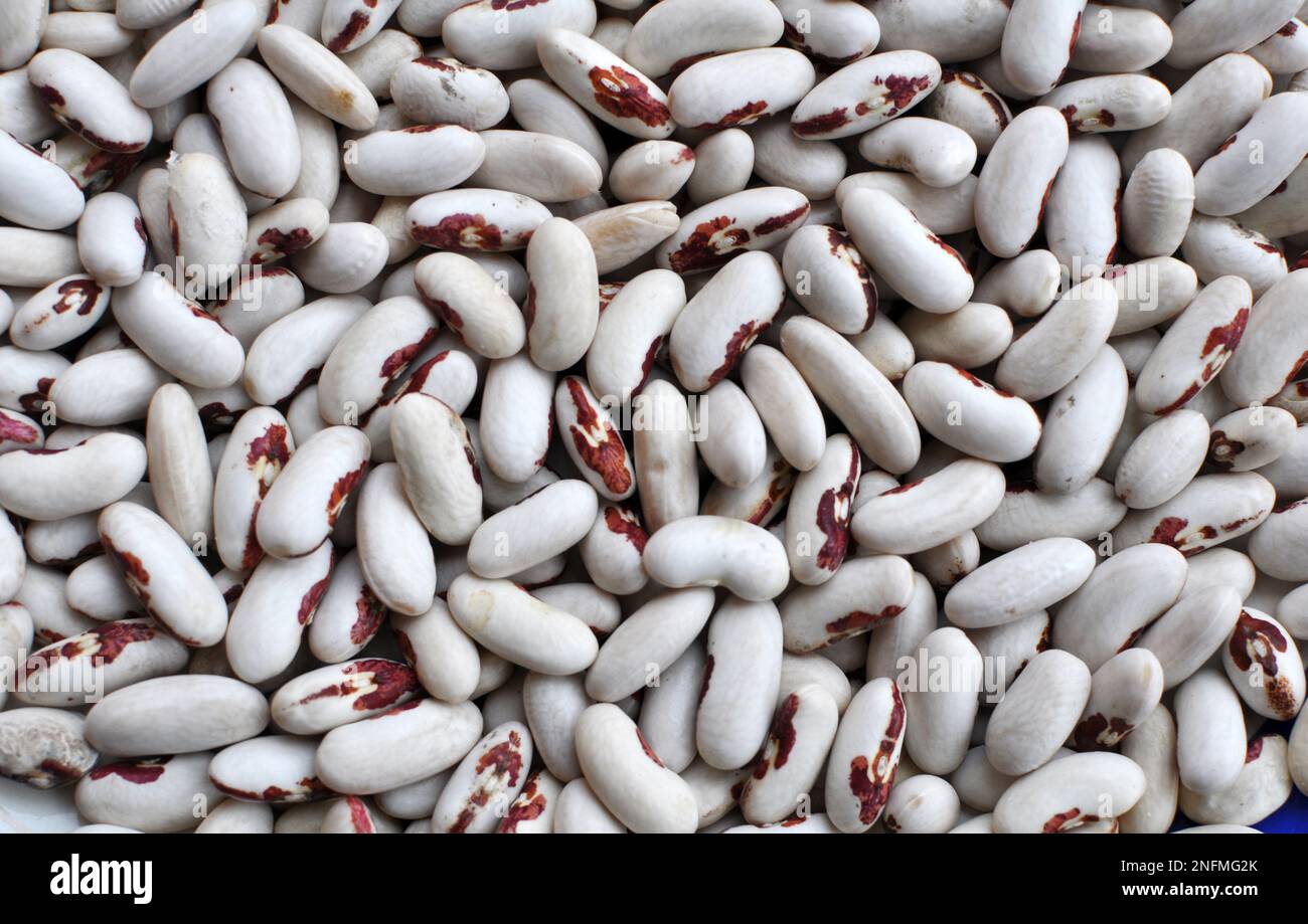 Background from a crop of dry beans Stock Photo - Alamy