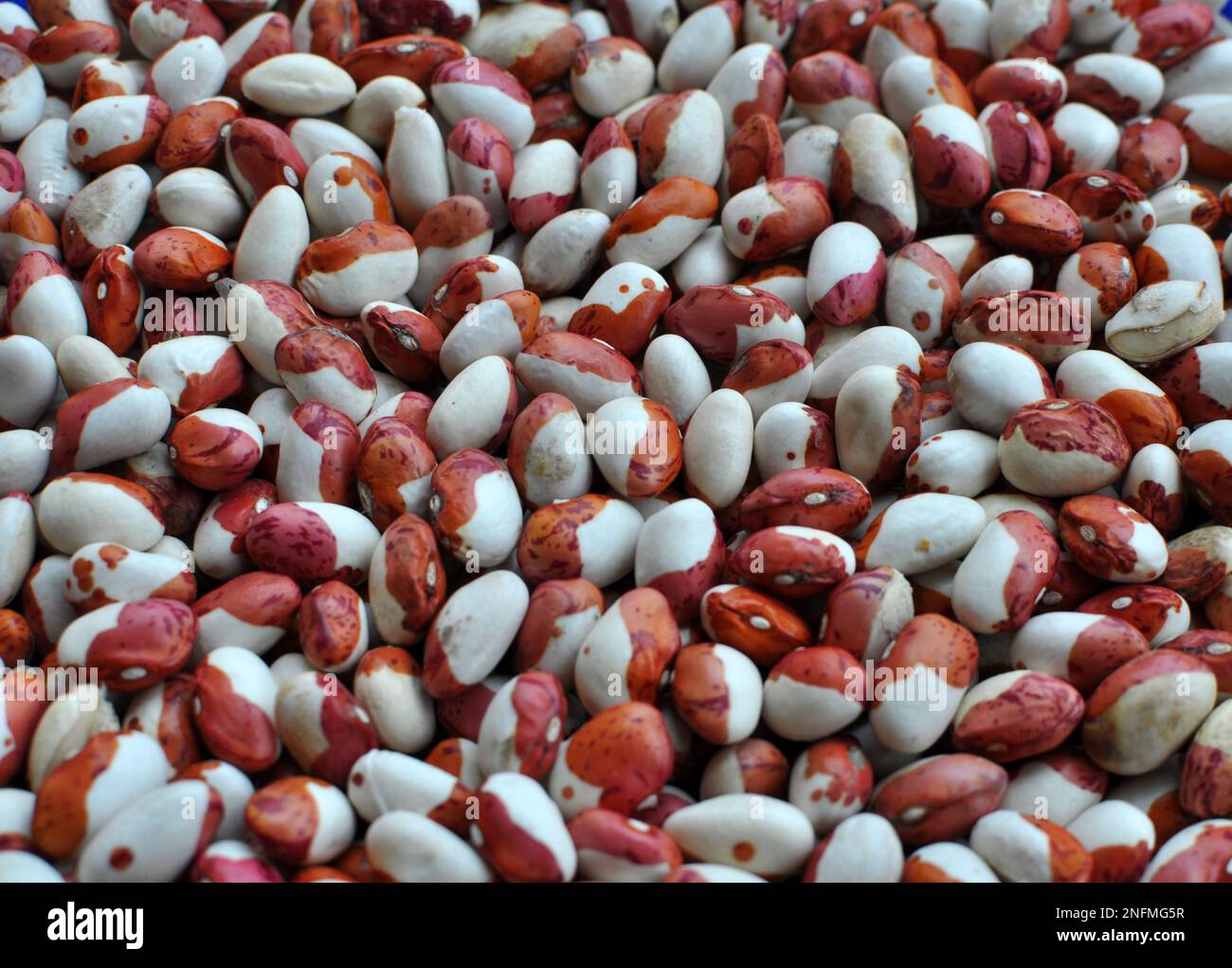 Background from a crop of dry beans Stock Photo - Alamy